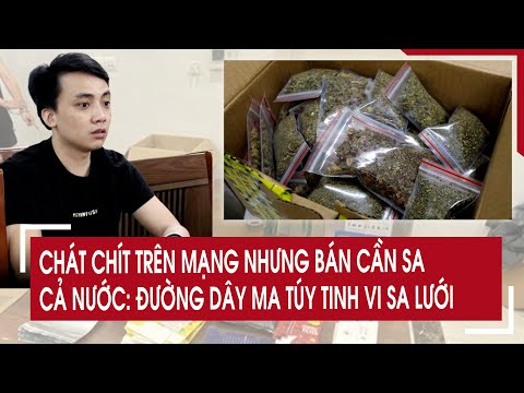 Chát chít trên mạng nhưng bán cần sa cả nước: Đường dây ma túy tinh vi sa lưới