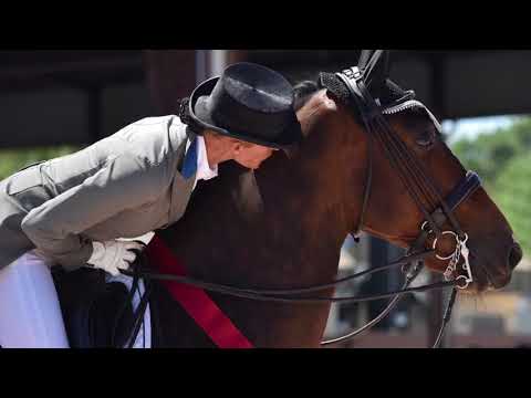 Global Dressage Festival in Florida Wellington- Turnierbegleitung