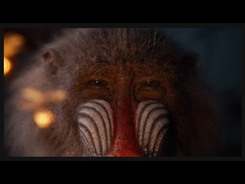 Lion🦁King👑 - Rafiki's Fireflies🪲🐛