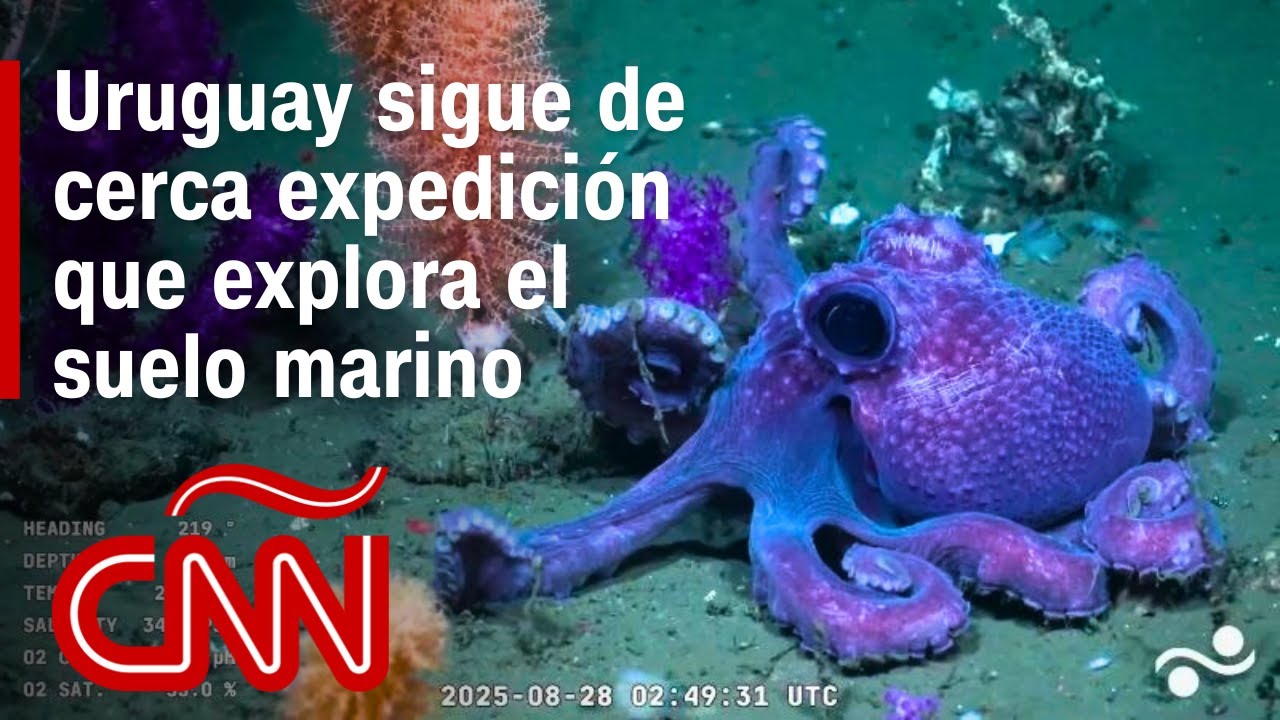 Uruguay sigue con emoción la inédita expedición científica que explora las profundidades del océano
