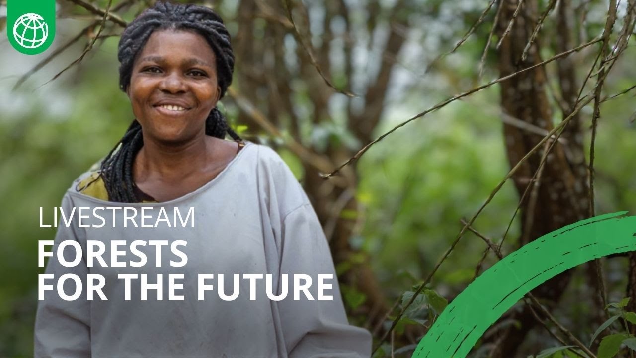 Forests for the Future #LivablePlanet