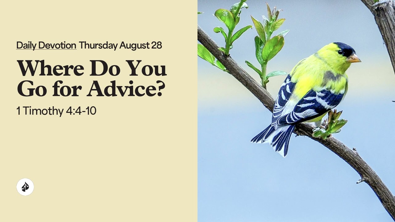 Where Do You Go for Advice? – Daily Devotional