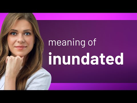 Inundated | INUNDATED meaning