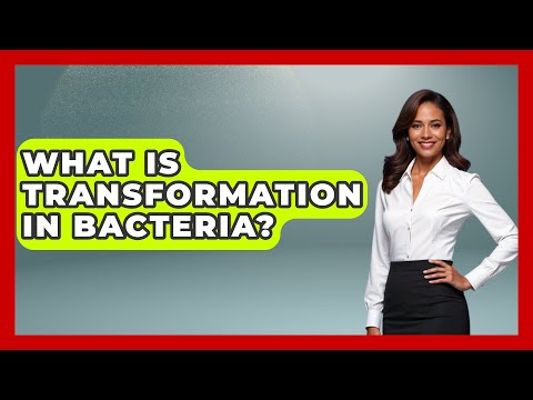 What Is Transformation In Bacteria? - Biology For Everyone