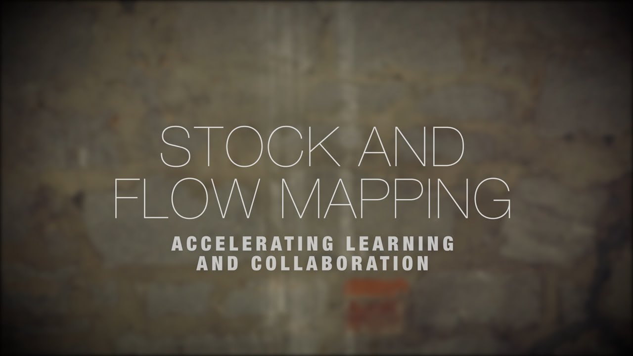 Systems Mapping: The Basics