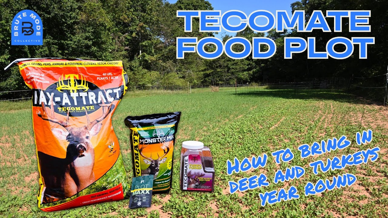 Planting the ULTIMATE Food Plot for Deer and Turkeys | Tecomate Seed Food Plot