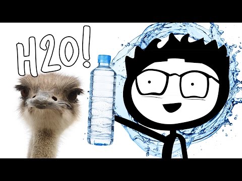 How to Drink Water to Lose Weight: 4 Scientific Reasons it Works