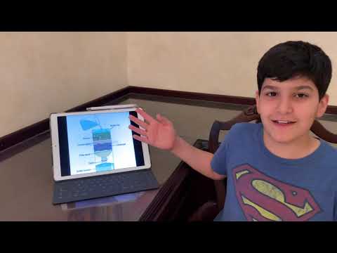 Water filter science fair project