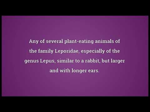 hare meaning in English