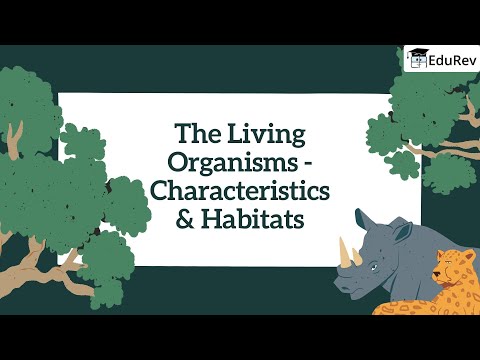 Habitats And Adaptations Video Lecture Science Class 6