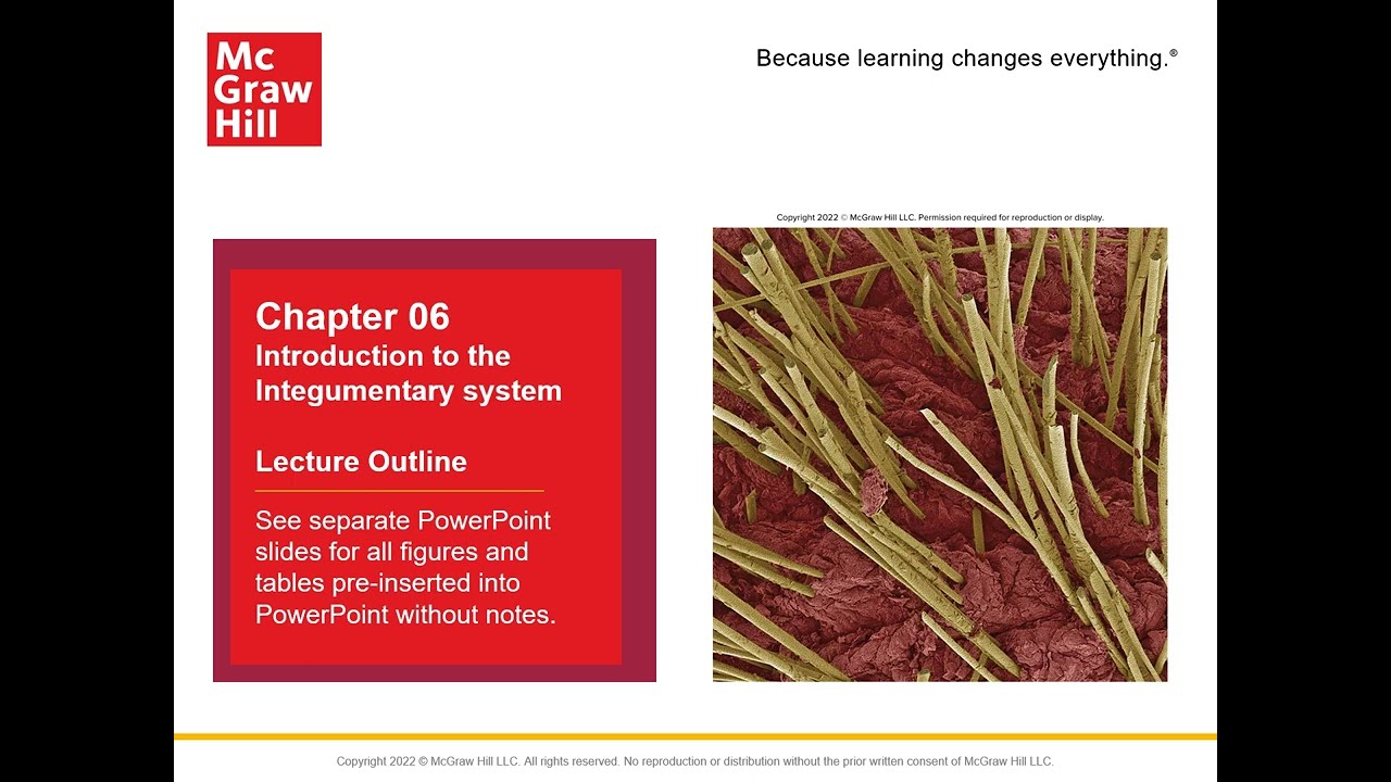 Chapter 6 video 1 Integumentary System general information slides 1-5