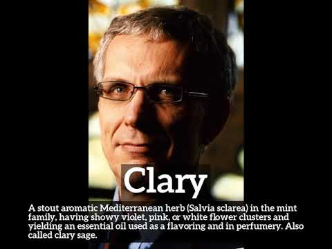 How Does Clary Look? | What is Clary? | How to Say Clary in English?