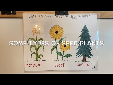 Classical Conversations, Cycle 1, Week 8, Science
