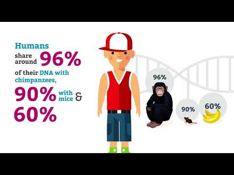 Genomics Fun Facts: Genetic Similarities