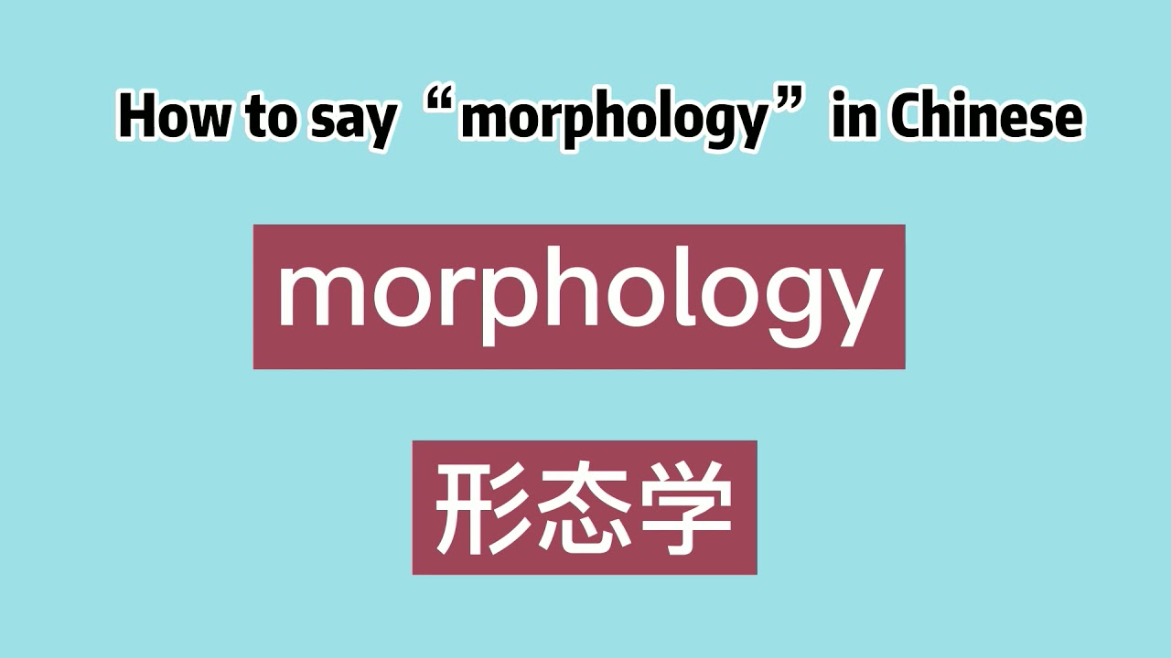 How to say “morphology” in Chinese