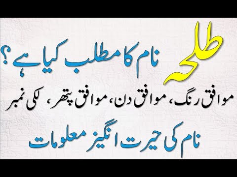 Talha Name Meaning | Talha Lucky Day | Talha Lucky Stone | Talha Numerology | Numerology