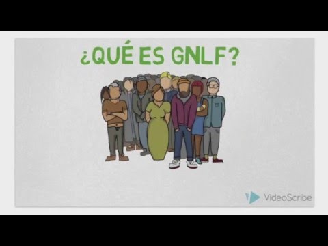 ¿Qué es GNLF México? – GNLFMx AC