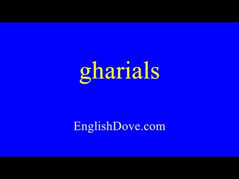 How to pronounce gharials in American English