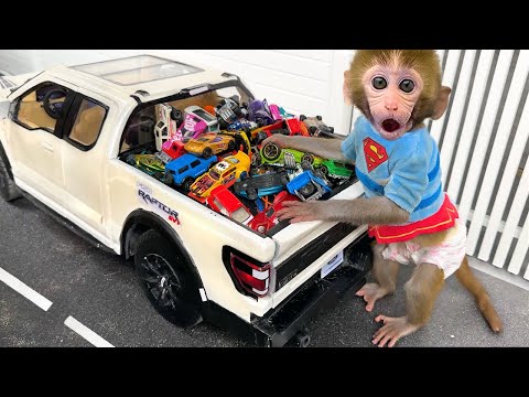 🔴LIVE - Monkey Baby Bon Bon Eat Fried Egg And Swimming With puppies and ducklings in the garden