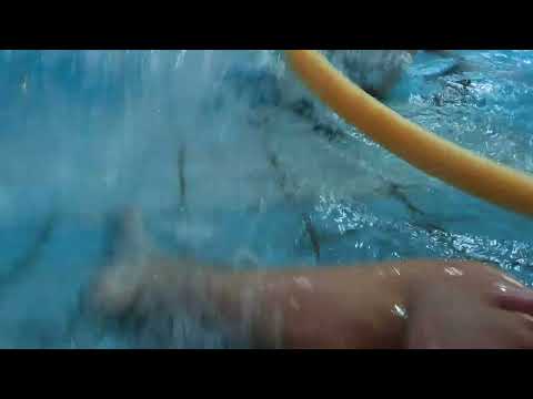 Center Parcs Limburgse Peel