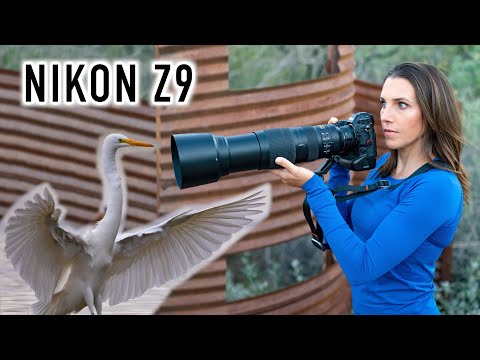 Nikon Z9: Large, pricey and capable (1669)