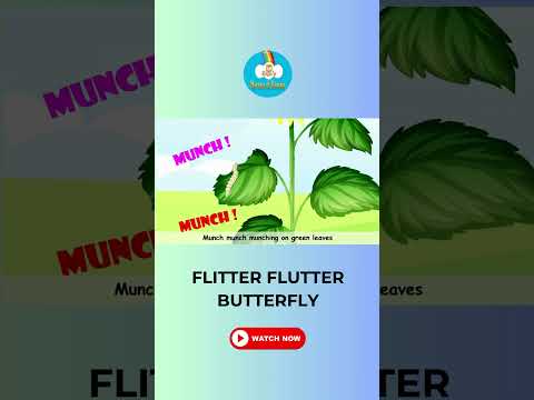 Flitter Flutter Butterfly: Learning Made Fun with Music | Song For Kids