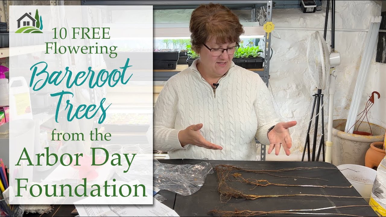 10 FREE Flowering Bareroot Trees From the Arbor Day Foundation - 🌱🌸🌳