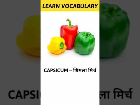 Capsicum Meaning in Hindi | Learn Vocabulary Shorts