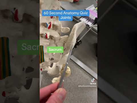 60 Second Anatomy Quiz: Joints
