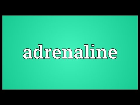 Adrenaline Meaning