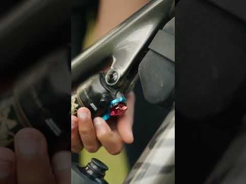 CANYON NEURON MTB SOUNDS π