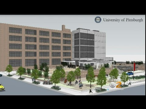 Pitt, UPMC Teaming Up For New Immune Transplant & Therapy Center
