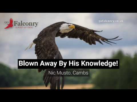 Go Falconry Vouchers, How good are they?