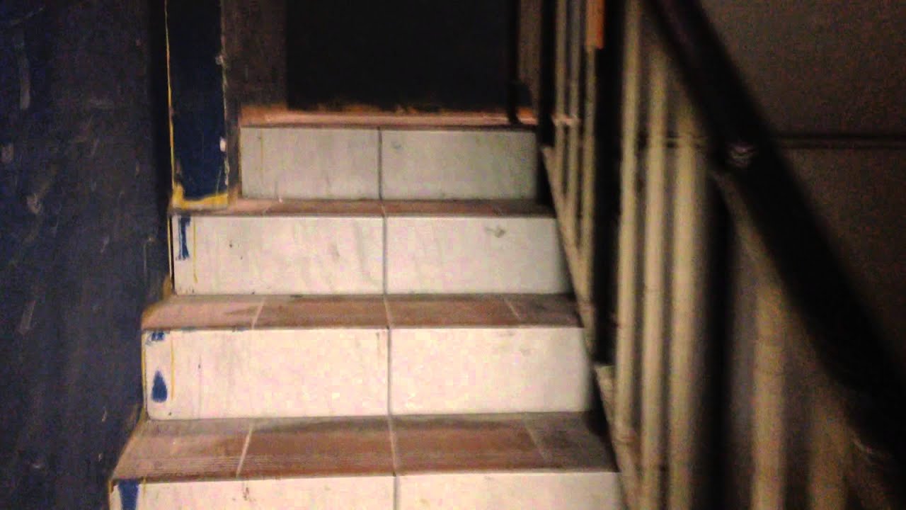 IMG 7266