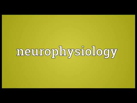 Neurophysiology Meaning