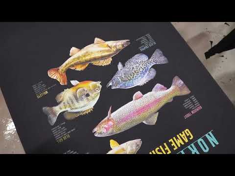 The North America Game Fish hybrid print!