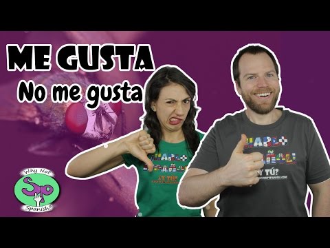 Gustar: likes and preferences in Spanish || Lección 14