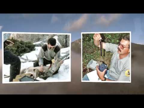 A Wildlife Career
