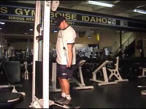 Reverse Grip One Arm Standing Overhead Cable Tricep Extension ...