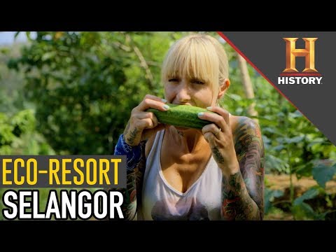 #5 Selangor | Ride N' Seek Malaysia | History