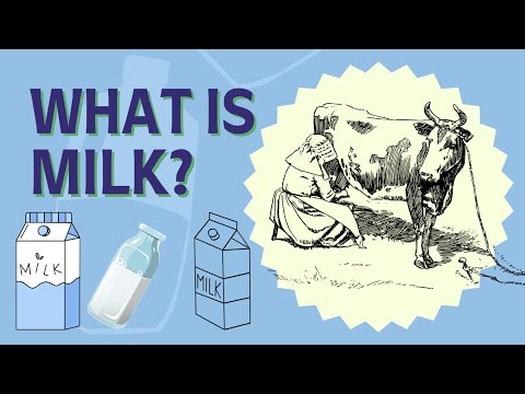 What Is Milk?