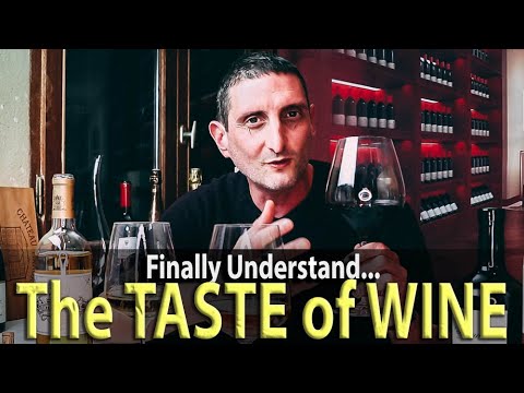 The Taste of Wine, 5 Components Explained!