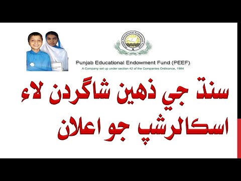 Scholarship For Sindh by (Punjab Educational Endowment Fund (PEEF)