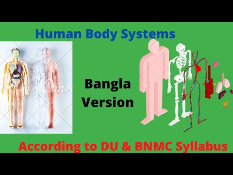 Human Body Systems (Bangla Version)