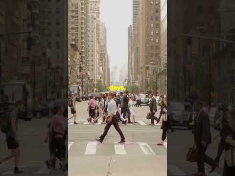 Why 'Jaywalker' Means What It Does!