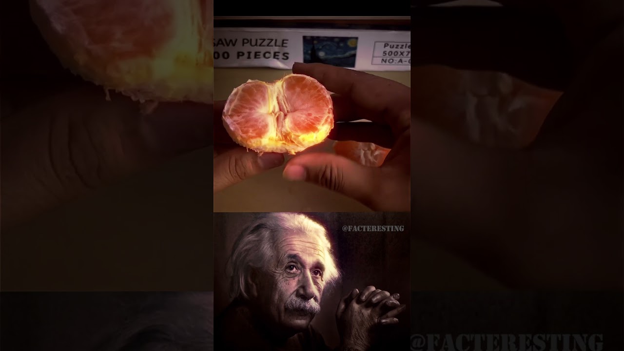 Fibonacci sequence in real life