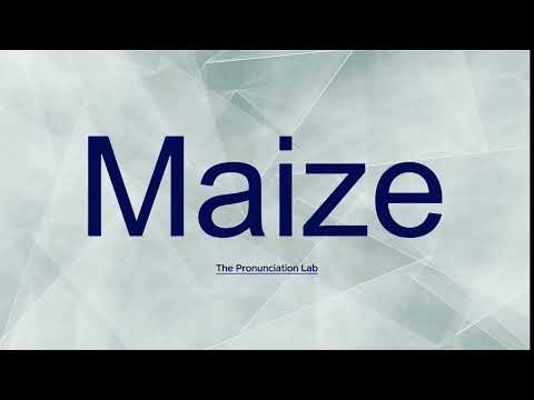 Maize Pronunciation: How to Say Maize | How to Pronounce Maize