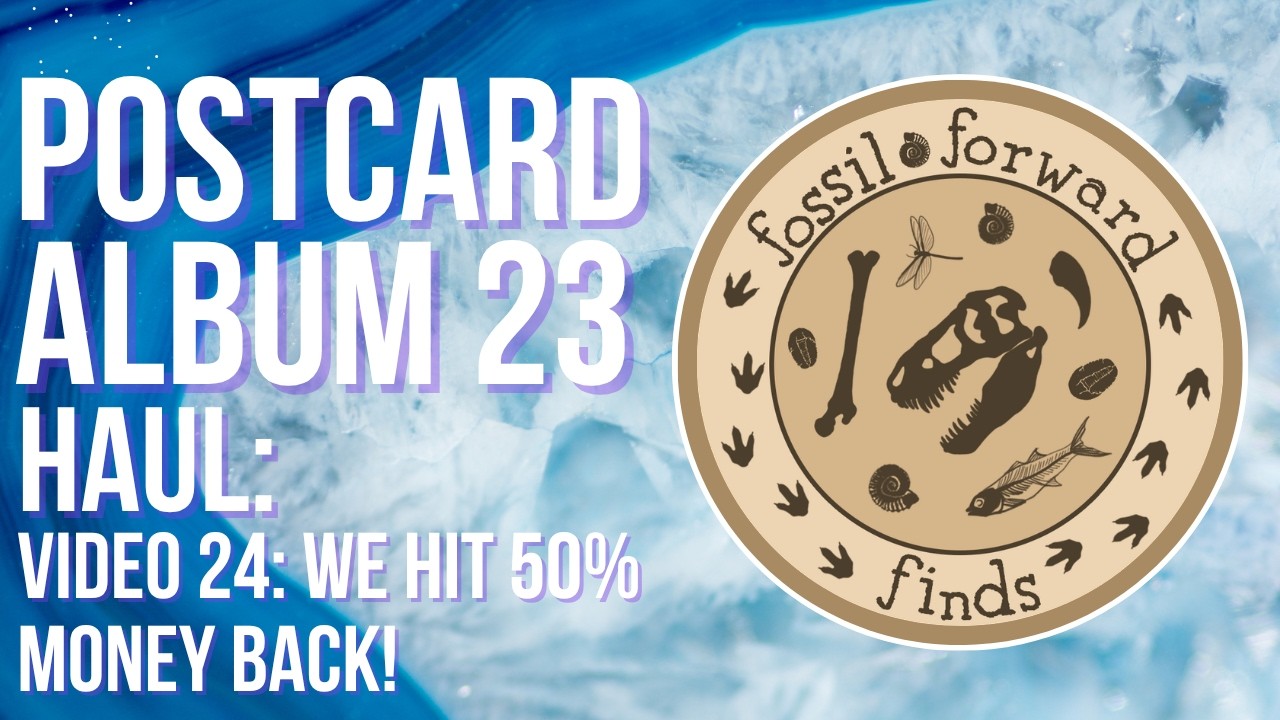 Albany Postcard Estate Sale Haul!  - Album 23 - Crossed The Halfway to Break Even! How We Looking?