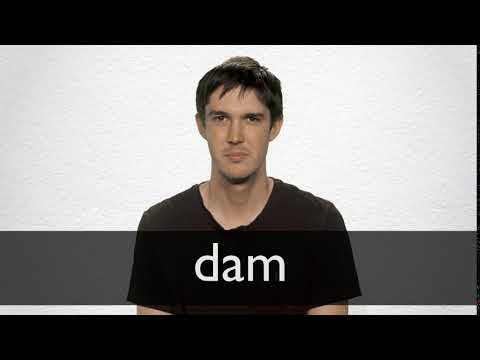 DAM definition and meaning | Collins English Dictionary