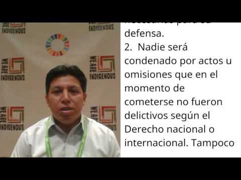 UDHR Español (Spanish) Article 11 Luis Lema